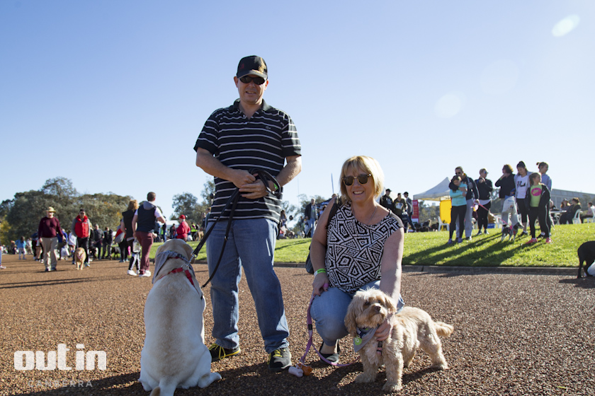 RSPCA Million Paws Walk at Rond Terrace | OutInCanberra