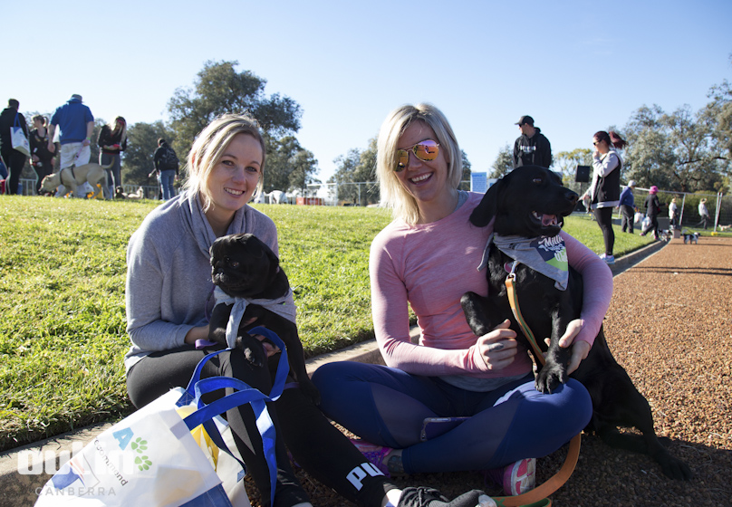 RSPCA Million Paws Walk at Rond Terrace | OutInCanberra