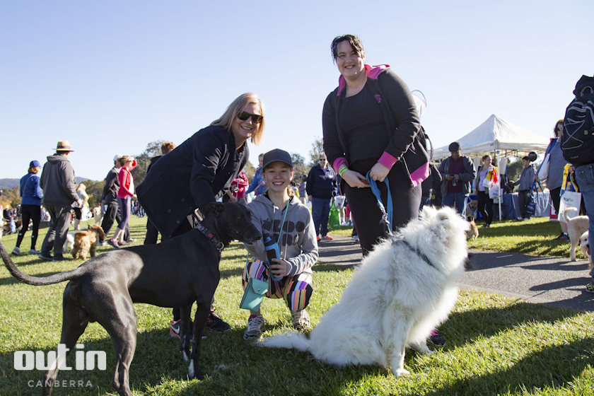 RSPCA Million Paws Walk at Rond Terrace | OutInCanberra