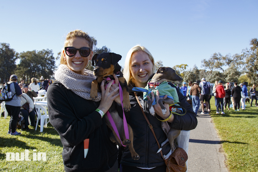 RSPCA Million Paws Walk at Rond Terrace | OutInCanberra