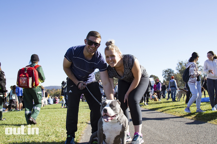 RSPCA Million Paws Walk at Rond Terrace | OutInCanberra