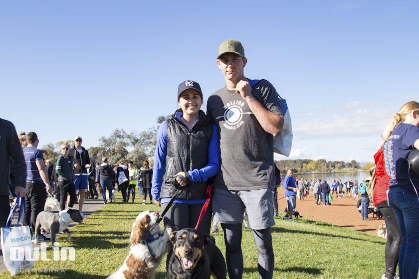 RSPCA Million Paws Walk at Rond Terrace | OutInCanberra
