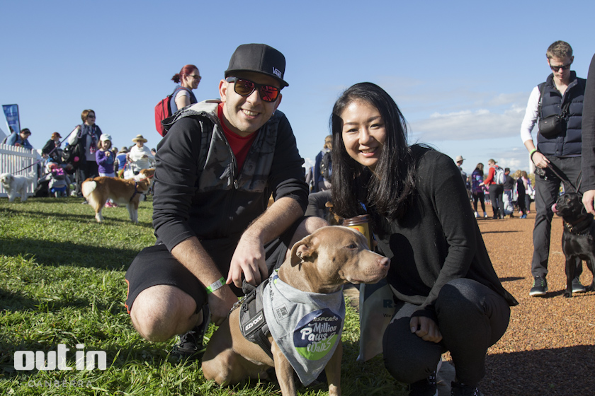 RSPCA Million Paws Walk at Rond Terrace | OutInCanberra