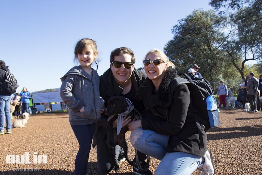 RSPCA Million Paws Walk at Rond Terrace | OutInCanberra