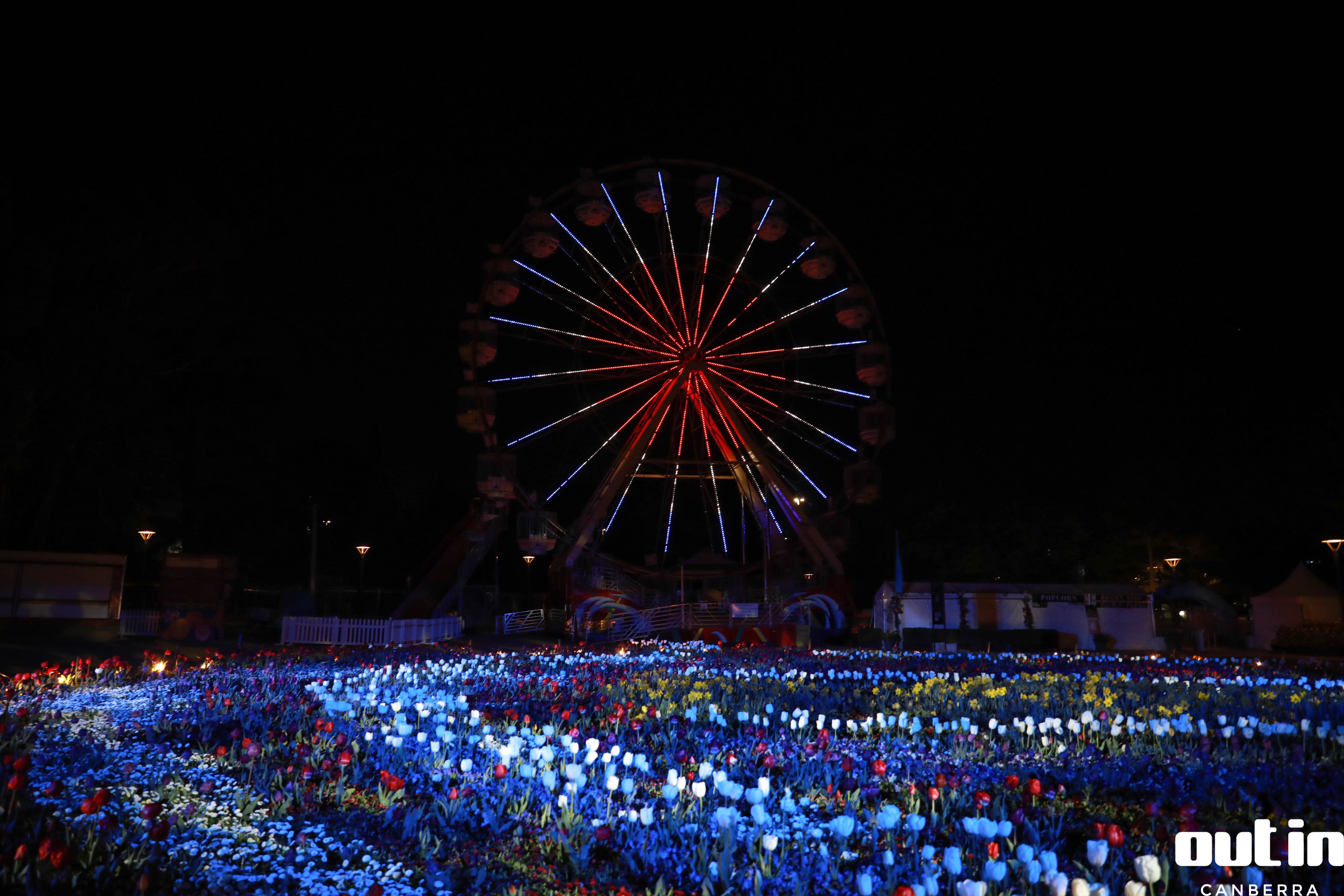 Floriade NightFest Preview | OutInCanberra