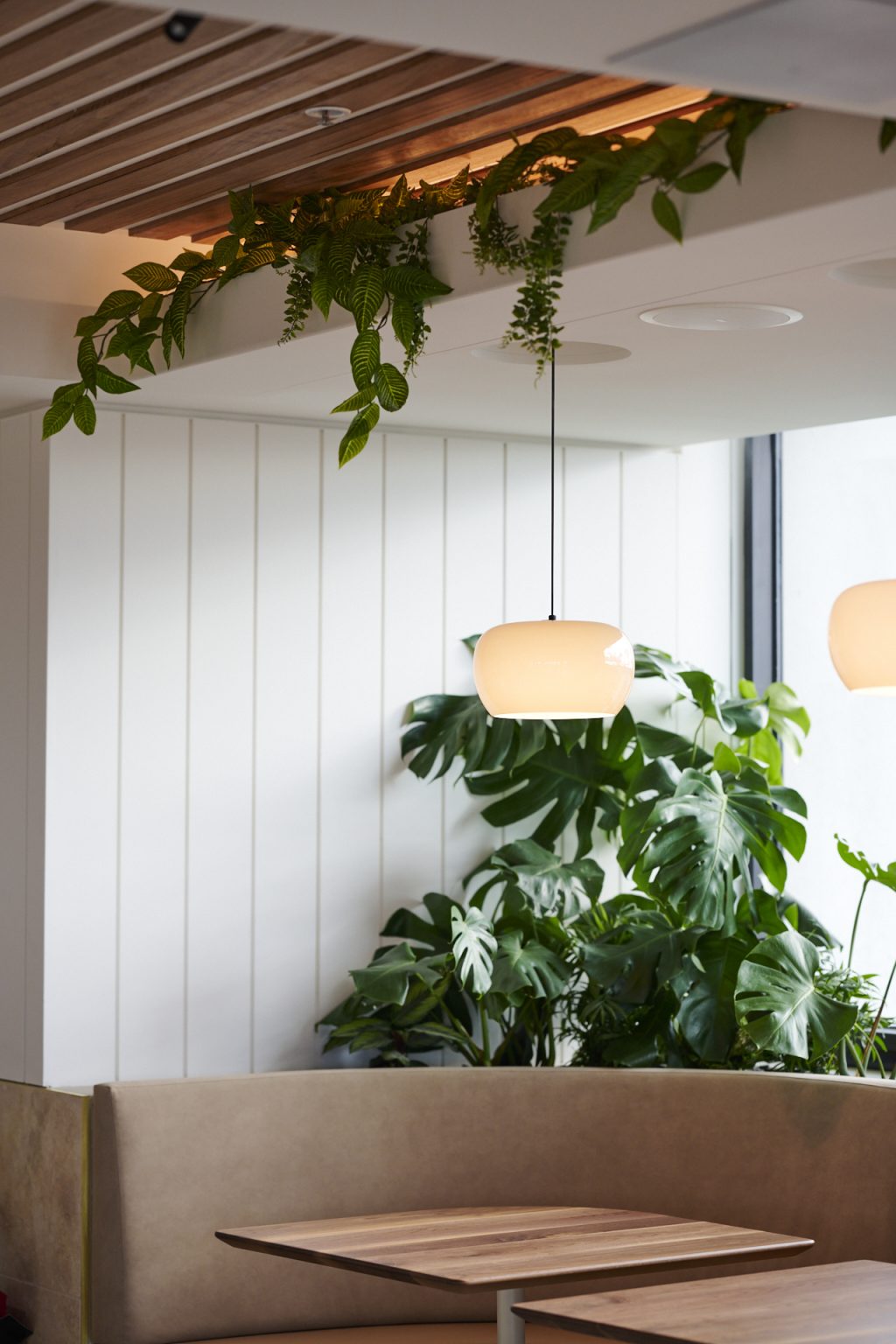 Meet Leyla, Canberra’s newest rooftop bar | OutInCanberra