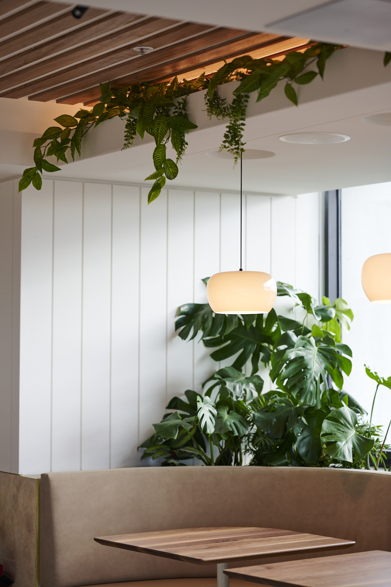 Meet Leyla, Canberra’s newest rooftop bar | OutInCanberra