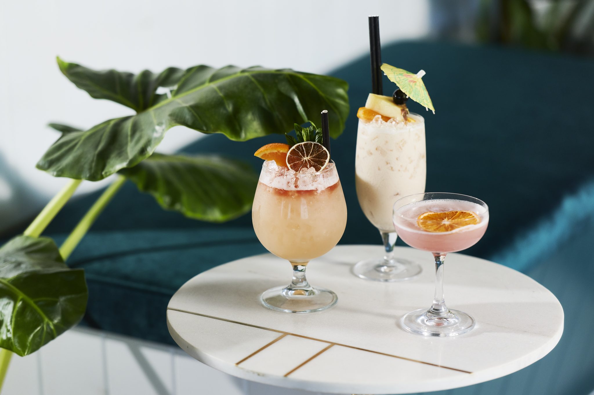 Highball is back! With an elevated menu and stylish new vibe ...