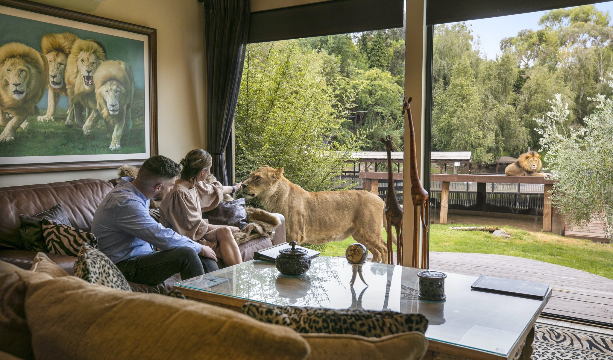 We slept with the cheetahs at Jamala, here’s what we thought ...