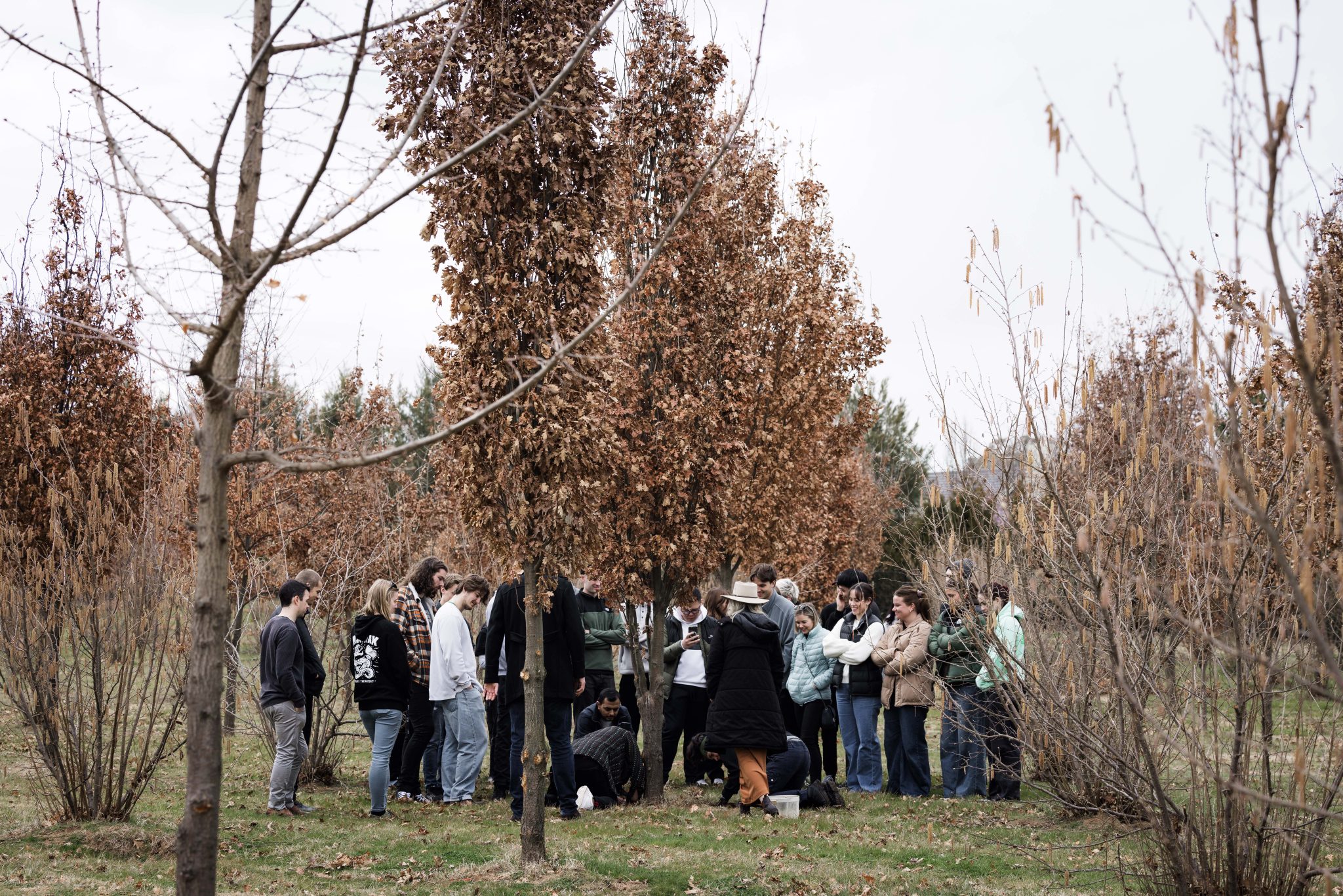 Step inside Pialligo’s new eat, stay and play destination: Beltana Farm ...