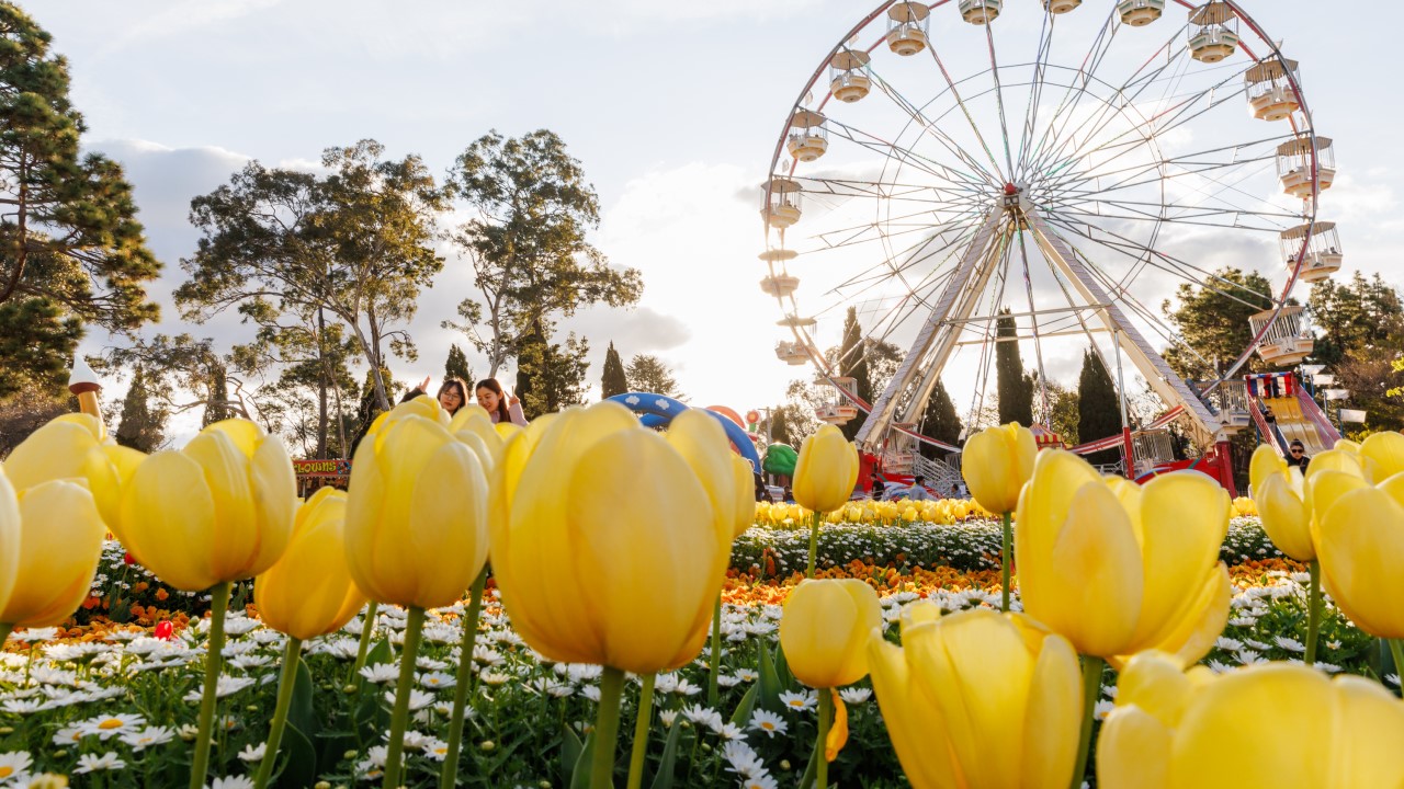 Floriade 2025: Science, Nature & Colour in Full Bloom | OutInCanberra